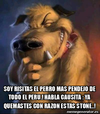 Meme Personalizado - SOY RISITAS EL PERRO MAS PENDEJO DE TODO EL PERU ...