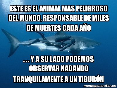 Meme Personalizado - este es el animal mas peligroso del mundo ...