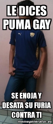 Meme Personalizado - le dices puma gay se enoja y desata su furia ...