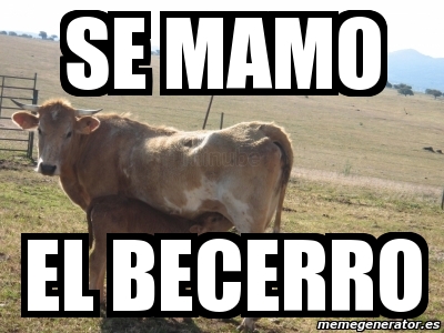 Meme Personalizado - SE MAMO el becerro - 4155894