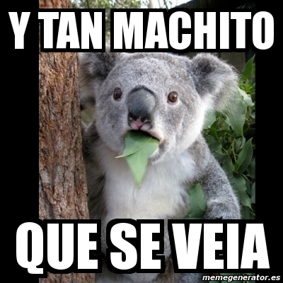 Meme Koala - y tan machito QUE SE VEIA - 4159352