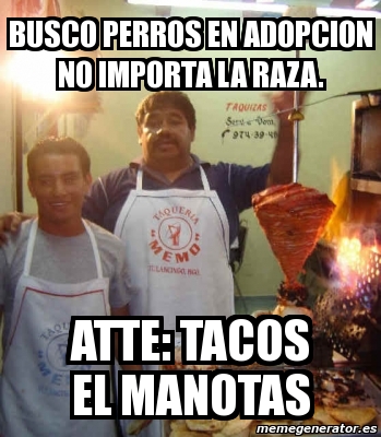 Meme Personalizado - Busco PERROS en ADOPCION no importa la raza. ATTE ...