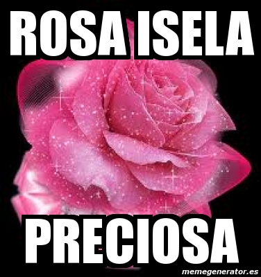 Meme Personalizado - rosa isela preciosa - 4175199