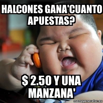 Memes De Halcones