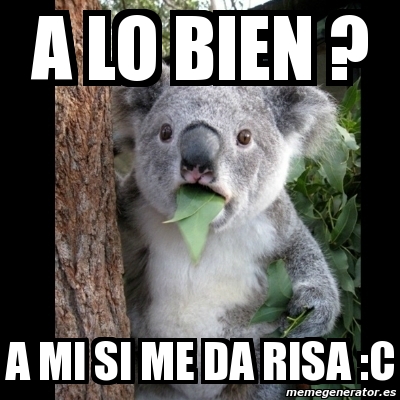 Meme Koala - a lo bien ? a mi si me da risa :c - 4237962