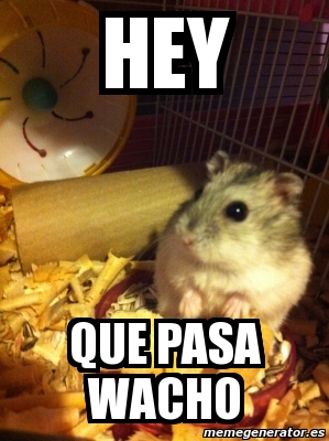 Meme Personalizado - Hey Que pasa wacho - 4281773