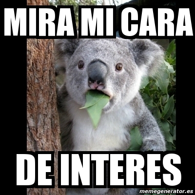Meme Koala - mira mi cara de interes - 4309330