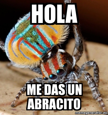 Meme Personalizado - hola me das un abracito - 4331762