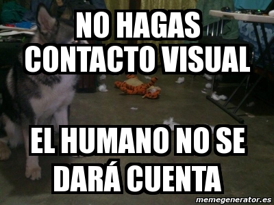 Meme Personalizado - NO HAGAS CONTACTO VISUAL el humano no se darÃ ...