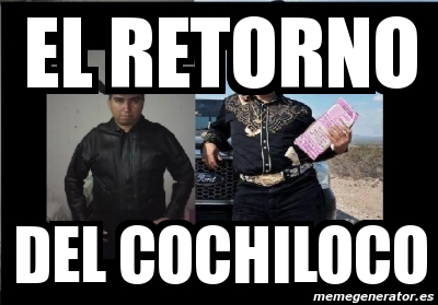 Meme Personalizado - el retorno del cochiloco - 4375286