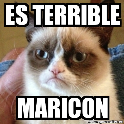 Meme Grumpy Cat - es terrible maricon - 4377252