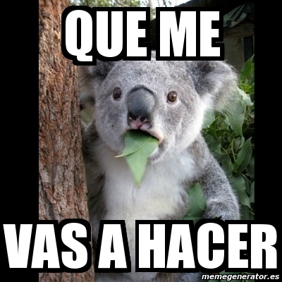 Meme Koala - que me vas a hacer - 4385650