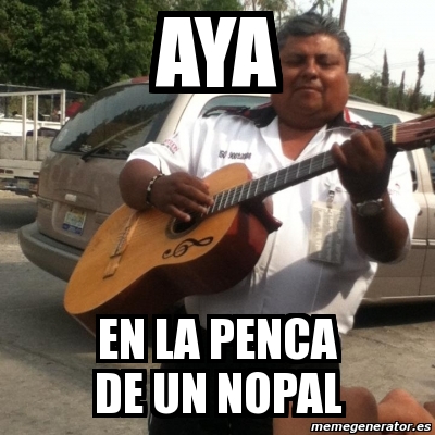 Meme Personalizado - AYA EN LA PENCA DE UN NOPAL - 4386077