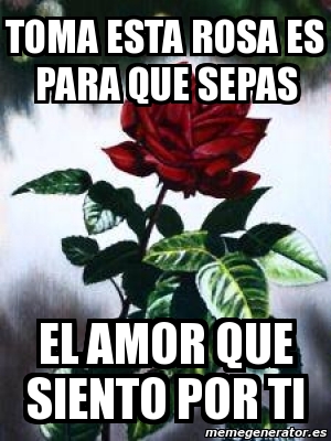 Meme Personalizado - toma esta rosa es para que sepas el amor que ...
