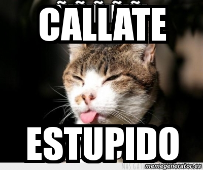 Meme Personalizado - callate estupido - 4395696