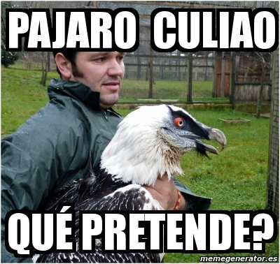 Meme Personalizado - pajaro culiao quÃ© pretende? - 4423720