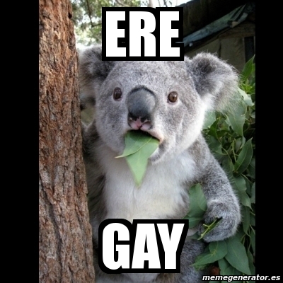 Meme Koala - ere gay - 4498553