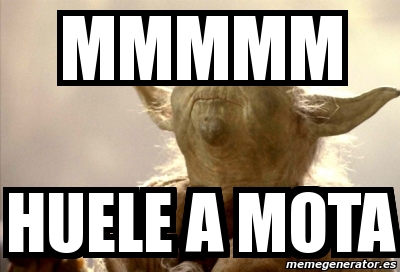 Meme Personalizado - mmmmm huele a mota - 4506681