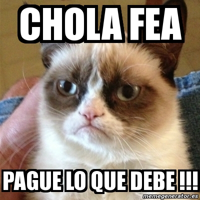 Meme Grumpy Cat - CHOLA FEA PAGUE LO QUE DEBE !!! - 4513705