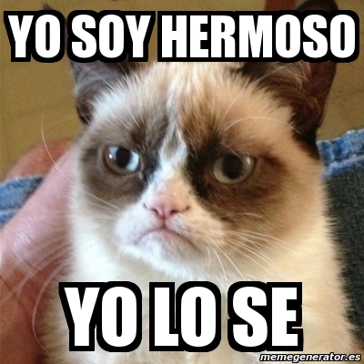 Meme Grumpy Cat - yo soy hermoso yo lo se - 4544637
