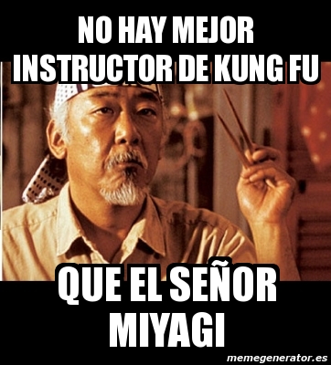 Meme Personalizado - no hay mejor instructor de kung fu que el seÃ±or ...