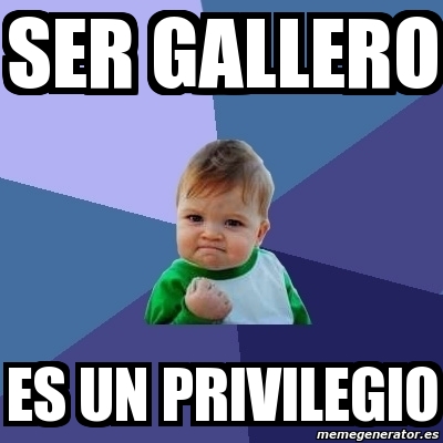 Meme Bebe Exitoso - ser gallero es un privilegio - 4565256
