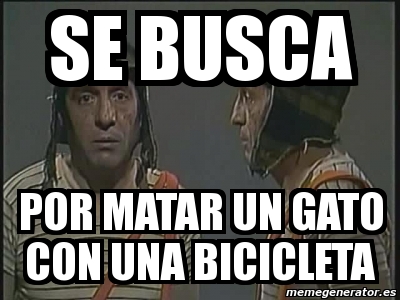 Meme Personalizado - se busca por matar un gato con una bicicleta - 4567579