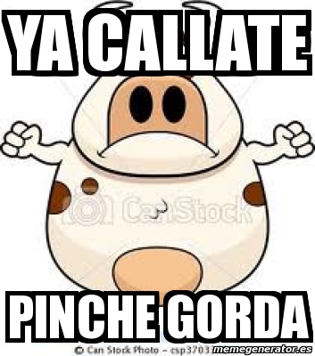 Meme Personalizado - Ya callate pinche gorda - 4583849