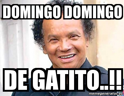 Meme Personalizado - domingo domingo de gatito..!! - 4060131