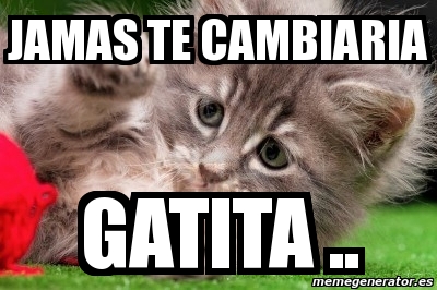 Meme Personalizado - jamas te cambiaria gatita .. - 4609676