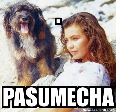 Meme Personalizado - . PASUMECHA - 4609923