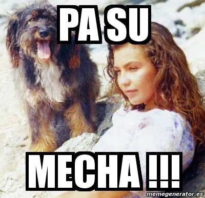 Meme Personalizado - pa su mecha !!! - 4619165