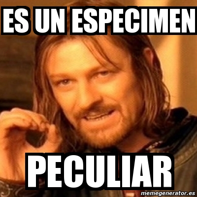 Meme Boromir - es un especimen peculiar - 4630671