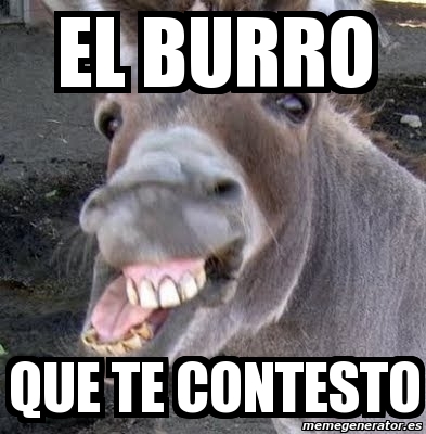 Meme Personalizado - el burro que te contesto - 4634084