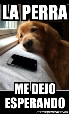 Meme Personalizado - LA PERRA ME DEJO ESPERANDO - 4634503