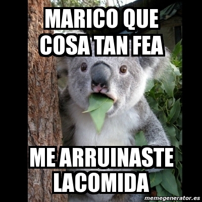 Meme Koala - marico que cosa tan fea me arruinaste lacomida - 4635813