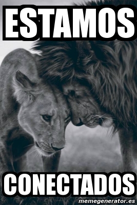 Estamos Conectados Memes