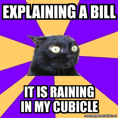 Meme Anxiety Cat - explaining a bill It is raining in my cubicle - 4072792