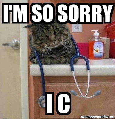 Meme Personalizado - I'm so sorry i c - 4703368