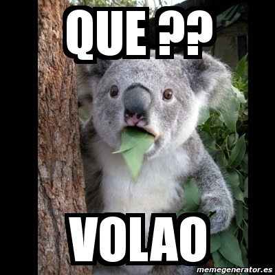 Meme Koala - que ?? volao - 4729299