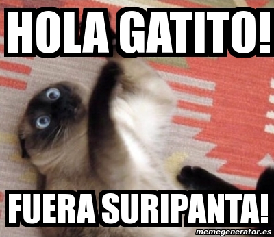 Meme Personalizado - Hola gatito! fuera suripanta! - 4750245
