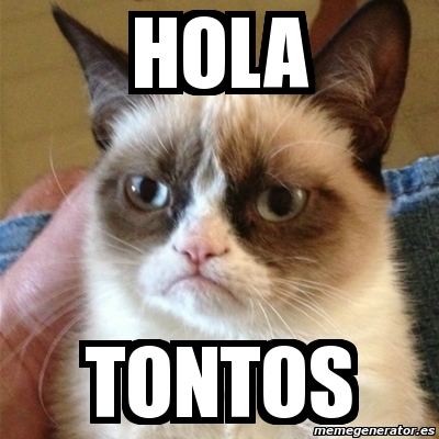 Meme Grumpy Cat - hola tontos - 4764512