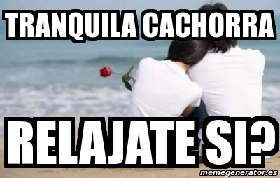 Meme Personalizado - tranquila cachorra relajate si? - 4775534