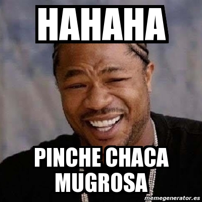 Meme Yo Dawg - hahaha pinche chaca mugrosa - 4786971