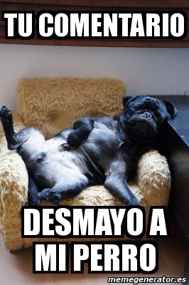 Meme Personalizado - tu comentario desmayo a mi perro - 4787465