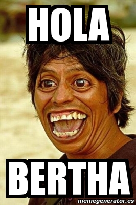 Meme Personalizado - hola bertha - 4839519