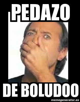 Meme Personalizado - pedazo de boludoo - 4910495
