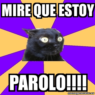Meme Anxiety Cat - mire que estoy parolo!!!! - 4920351