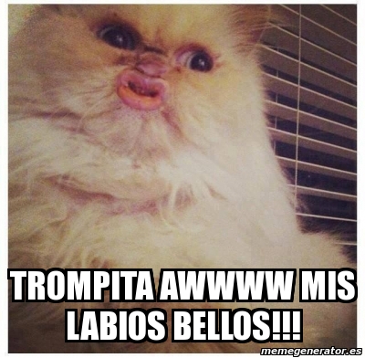 Meme Personalizado - trompita awwww mis labios bellos!!! - 4959501