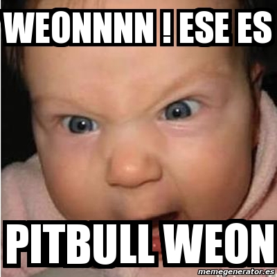 Meme Bebe furioso - weonnnn ! ese es pitbull weon - 5002215